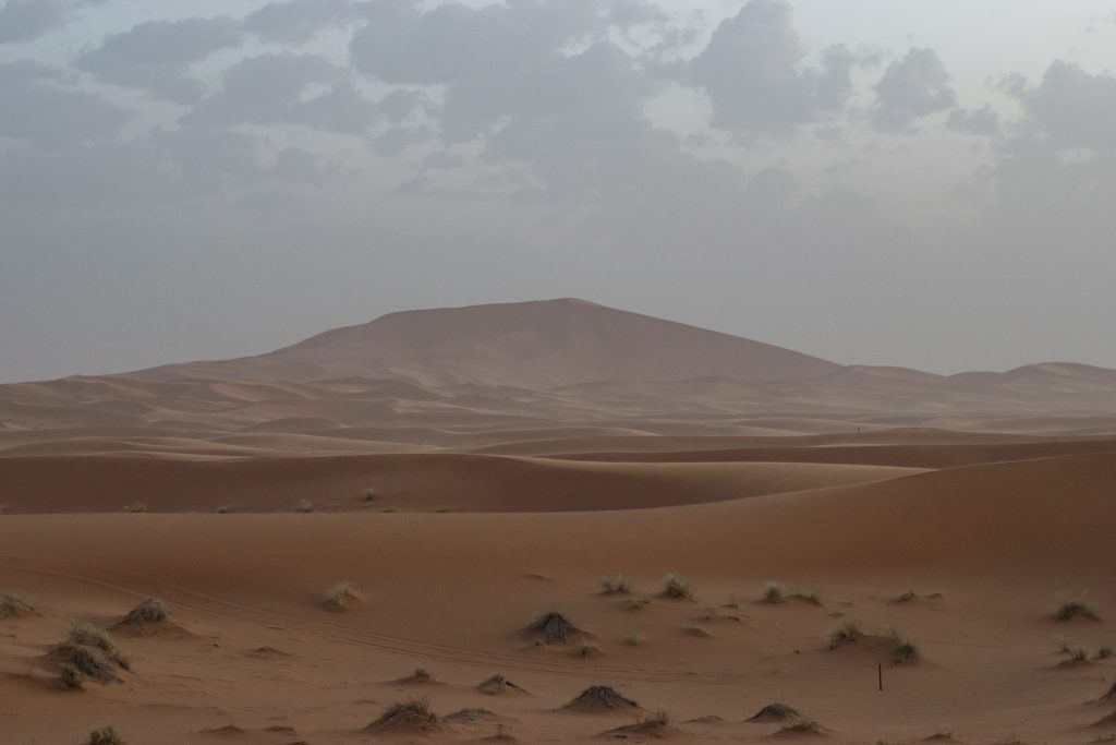 Sacharos dykuma - Šen Bei Ten